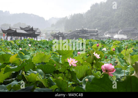 Dushan, China. 21st July, 2019. Aerial photo taken on July 21, 2019 ...