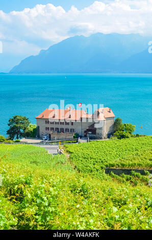 Lavaux terraced vineyards and Leman lake Stock Photo - Alamy