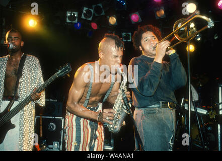 FISHBONE American ska, reggae group about 1992 Photo: Jeffrey Mayer ...