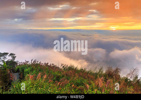 Sunset of Eryanping Trail Observation Deck, in Alishan National Forest ...