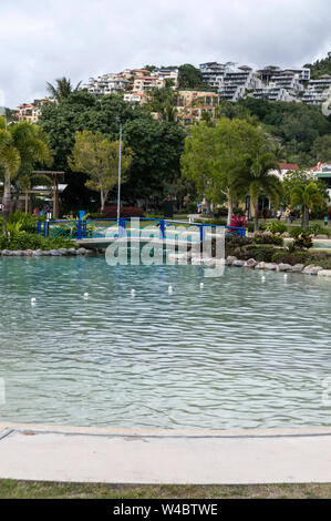 Airlie beach swimming pool lagoon in the summer, Queensland, Australia ...