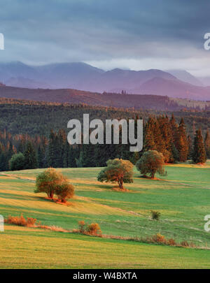 Tatra Mountains in spring time Stock Photo - Alamy