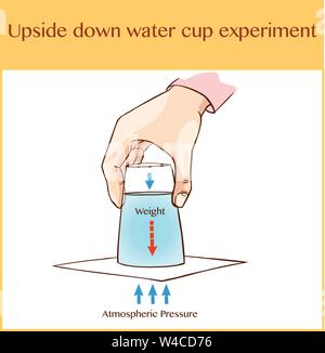 Vector illustration of a upside down water cup experimen Stock Vector ...