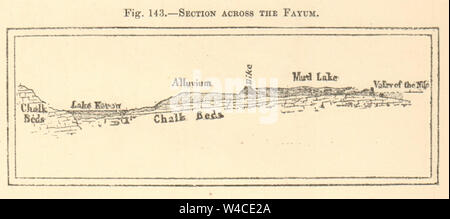 Map of the Fayum. Egypt. Faiyum Oasis. Sketch map 1886 old antique ...