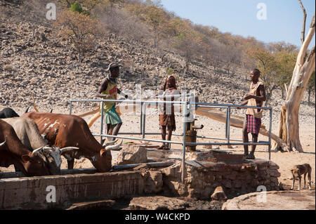 Africa, Namibia, Himba, Cattle, Goats, Hut Stock Photo - Alamy