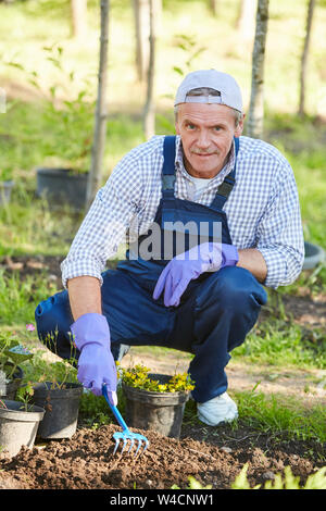 A man planting flowers in a garden Stock Photo - Alamy