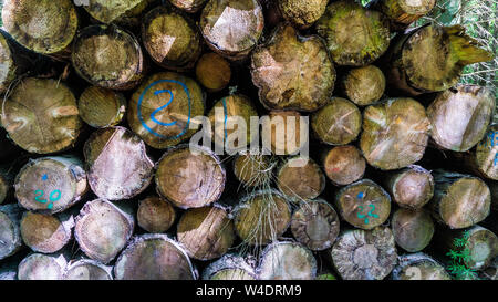 stack of roundwood Stock Photo - Alamy