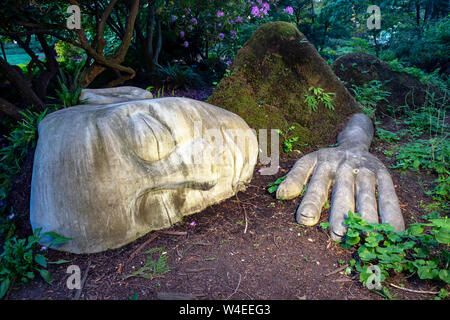 Moss Lady sleeping in Beacon Hill Park-Victoria, British Columbia ...