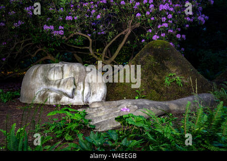 Moss Lady sleeping in Beacon Hill Park-Victoria, British Columbia ...