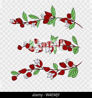 Fiji Blossom, Illustration of Tagimaucia Flower or Medinilla ...