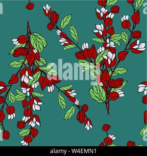 Fiji Blossom, Illustration of Tagimaucia Flower or Medinilla ...