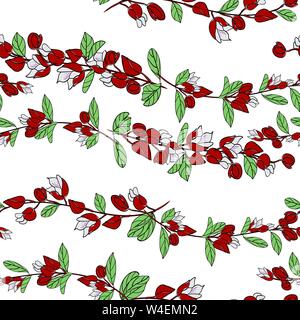 Fiji Blossom, Illustration of Tagimaucia Flower or Medinilla ...