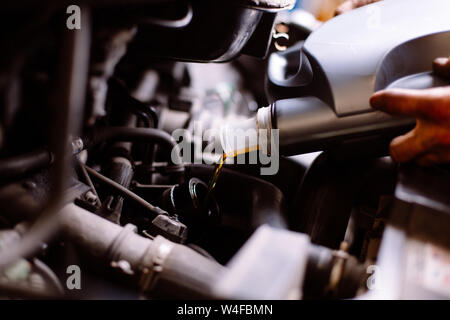 Car mechanic fills engine oil Stock Photo - Alamy