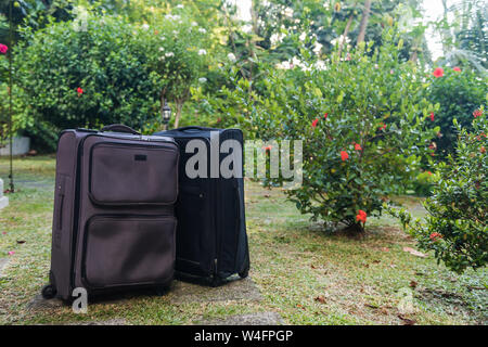 Two suitcases on the lawn, travel image Stock Photo - Alamy