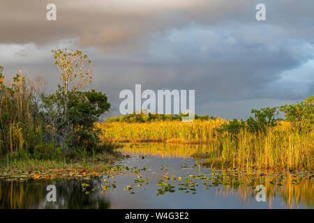 Beautiful sunset in Everglades national park Stock Photo - Alamy