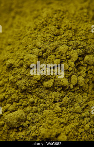 A selective focus shot of asian green bee-eater bird on tree branch on ...