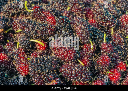 Basket with fresh fruits and vegetables placed on the ground in an ...