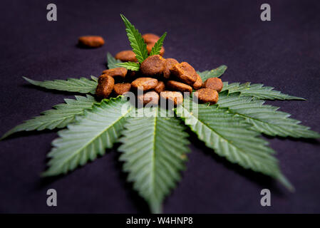 Dog treats and cannabis leaves isolated over white background - CBD and ...