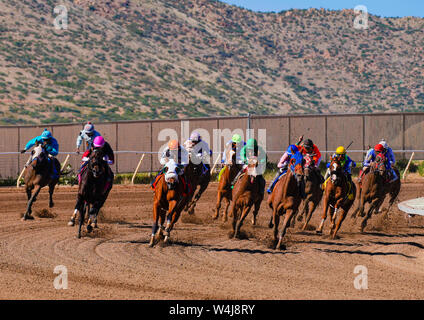Horses and their jockeys leaving the starting gate stalls at the start ...