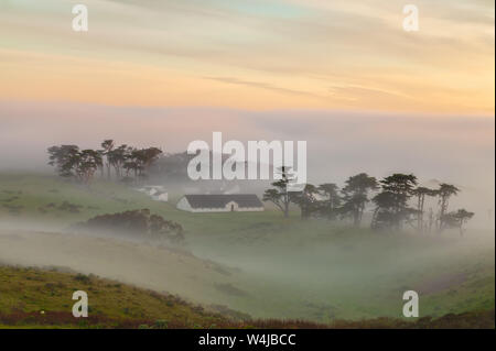 Point reyes national seashore landscapes in california Stock Photo - Alamy