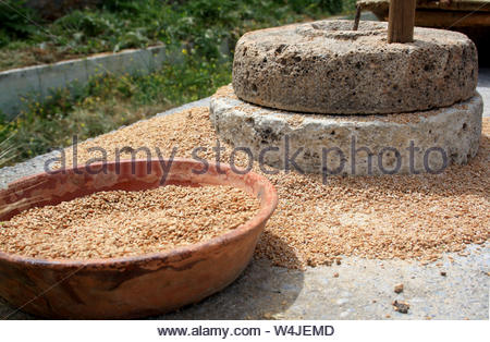 The ancient Quern stone hand mill with grain. The man grinds the Stock ...