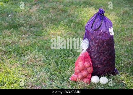Live crawfish in bag bought for a boil Stock Photo - Alamy