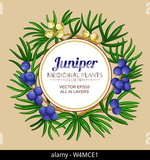 juniper branch cartoon vector illustration color sign Stock Vector ...