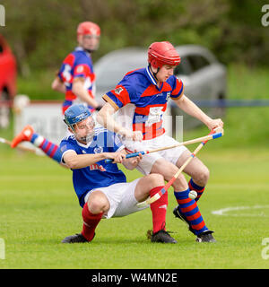 The game of Shinty. Action from Kingussie v Kyles Athletic in the MOWI ...