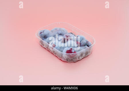 Closeup of rotten moldy raspberry in plastic box isolated on pink ...
