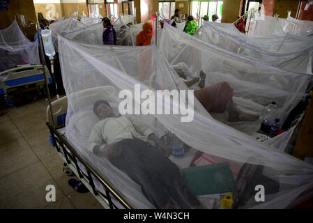 Indian patients suffering from dengue fever get treatment in Special ...