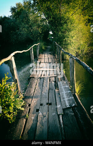 wooden plank bridge over water in forest in autumn with grey colors ...