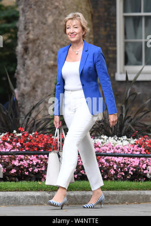 Andrea Leadsom arriving for a meeting with the new Prime Minister Boris ...