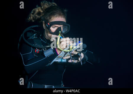 Diver observes Deep Sea Squid (Symplectoteuthis oualensis) - Eilat ...
