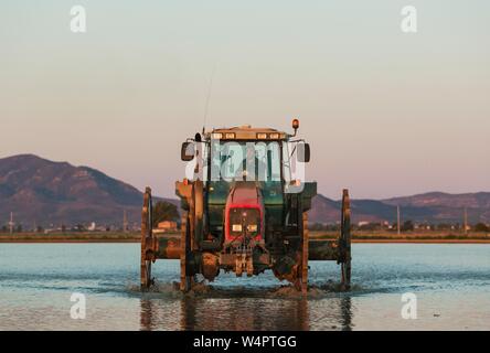 Tractor sowing rice seeds in a flooded rice field in May, aerial view ...