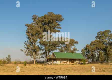 Bergville, KwaZulu-Natal, South Africa, plants growing in dry riverbed ...