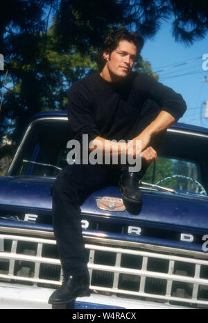 ROBIN'S HOODS (TV) DAVID GAIL, MAYTE VILAN, JENNIFER CAMPBELL, LINDA ...