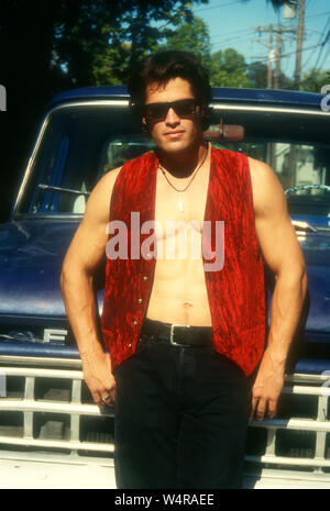 ROBIN'S HOODS (TV) DAVID GAIL, MAYTE VILAN, JENNIFER CAMPBELL, LINDA ...