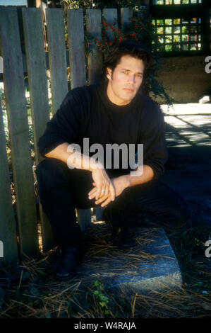 ROBIN'S HOODS (TV) DAVID GAIL, MAYTE VILAN, JENNIFER CAMPBELL, LINDA ...