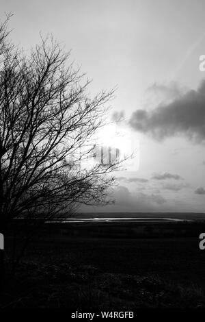 River Crouch by Bridgemarsh Island, Essex, England, UK Stock Photo - Alamy
