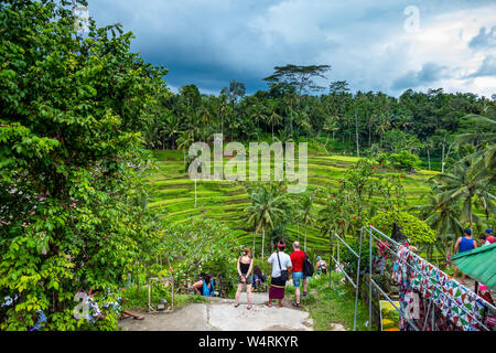 Tegallalang Rice Terraces, Ubud, Bali, Indonesia. Top view drone shot of cascading rice fields ...