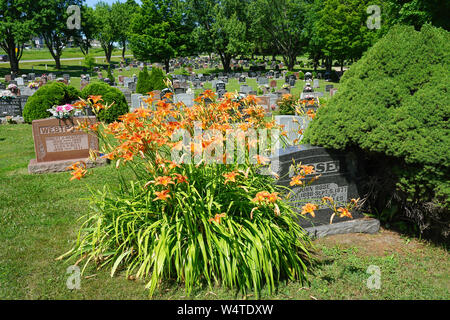 A pictorial country Cemetery near Sherburne, Ontario, Canada with lots ...