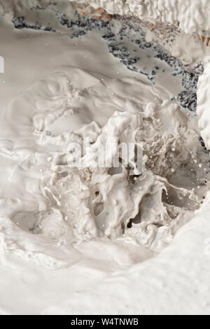 puddle of boiling and milky mud in Yellowstone National Park in Wyoming ...
