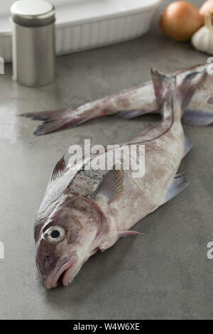 Fresh raw whole haddock fish in the kitchen for cooking Stock Photo - Alamy