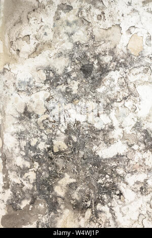 Effects of damp on plaster, damaged wall texture Stock Photo - Alamy