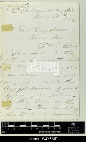 Correspondence - Bebb (Michael) and Engelmann (George) (Feb 17, 1877 (2 ...