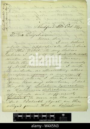 Correspondence - Bebb (Michael) and Engelmann (George) (May 06, 1866 (1 ...