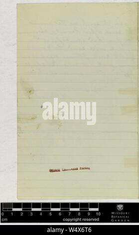 Correspondence - Burdick (Justin) and Engelmann (George) (Apr 22, 1881 ...