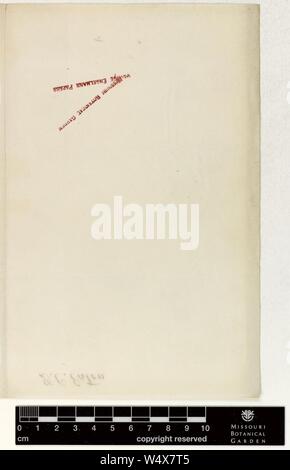 Correspondence Eaton (Daniel) and Engelmann (George) (May 29, 1865 (2 ...