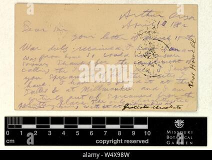 Correspondence Howell (Thomas) and Engelmann (George) (Apr 10, 1882 (1 ...