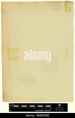 Correspondence Lemmon (John) and Engelmann (George) BHL43678957 Stock ...